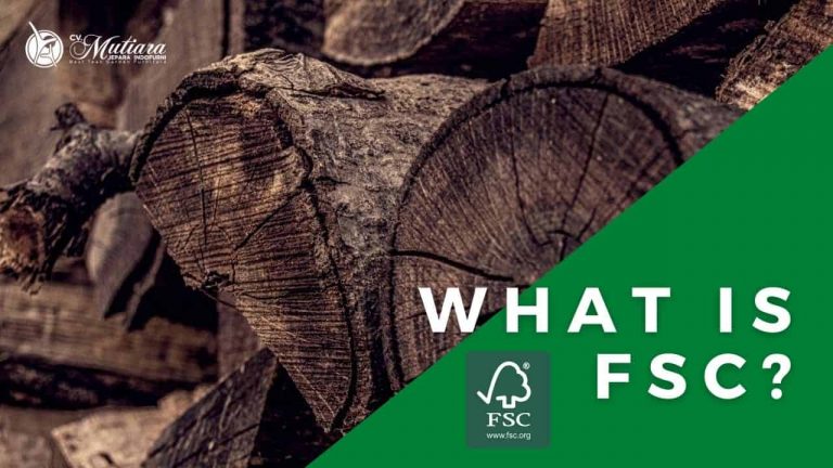 What is FSC? A Brief Insight into Forest Stewardship Council History ...